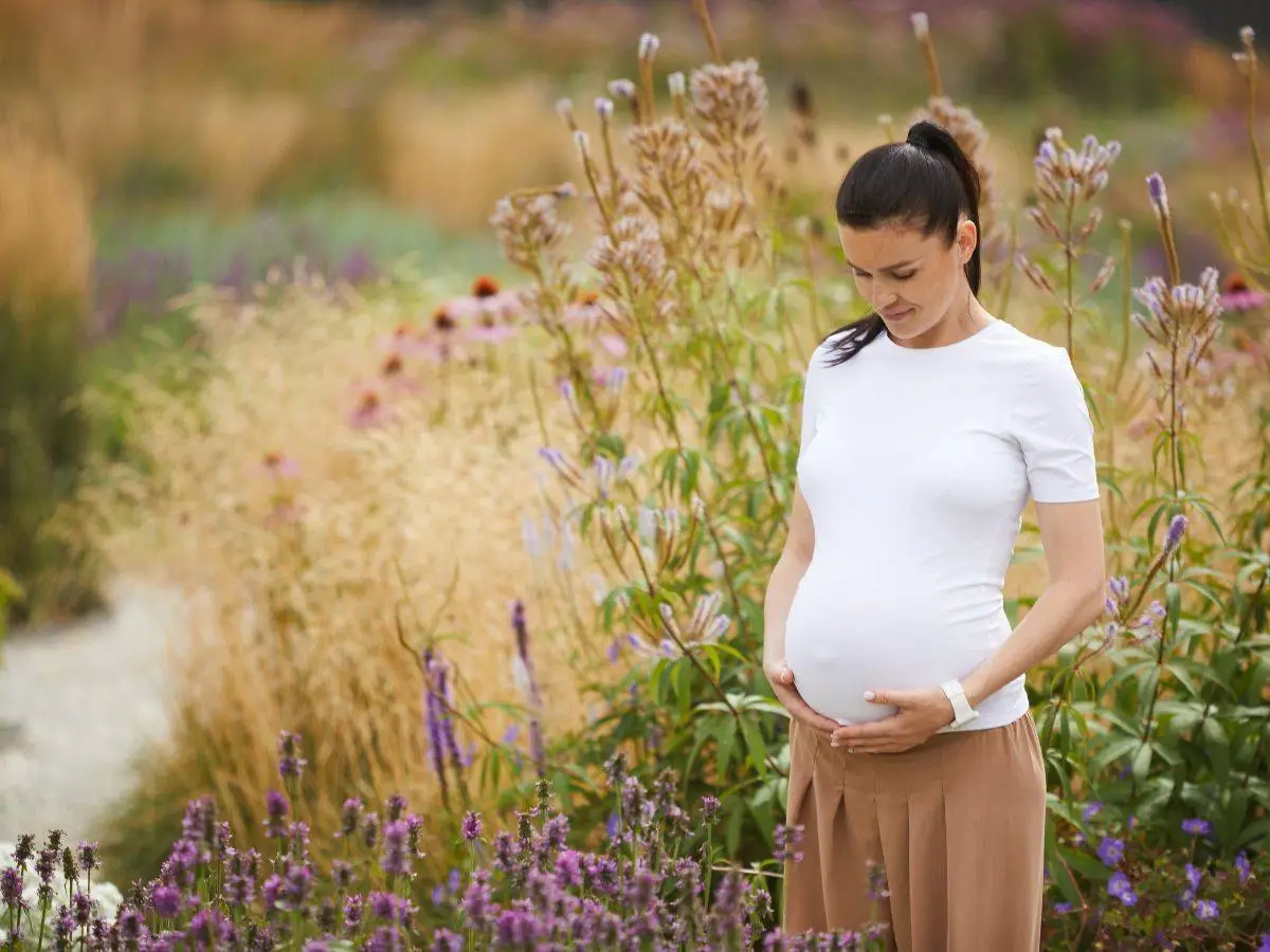 Surrogate Process Egg Donor Surrogacy Institute Edsi